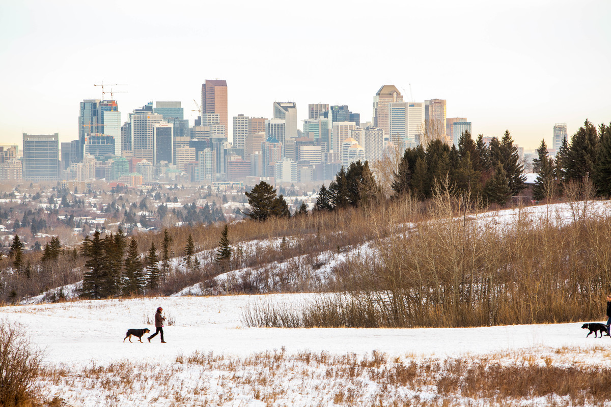 Edworthy Park Access Options | Engage