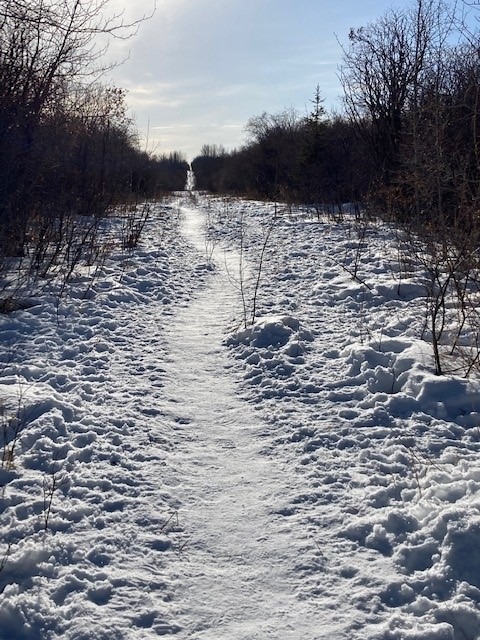 Family feedback and activities | Weaselhead/Glenmore Habitat Management ...