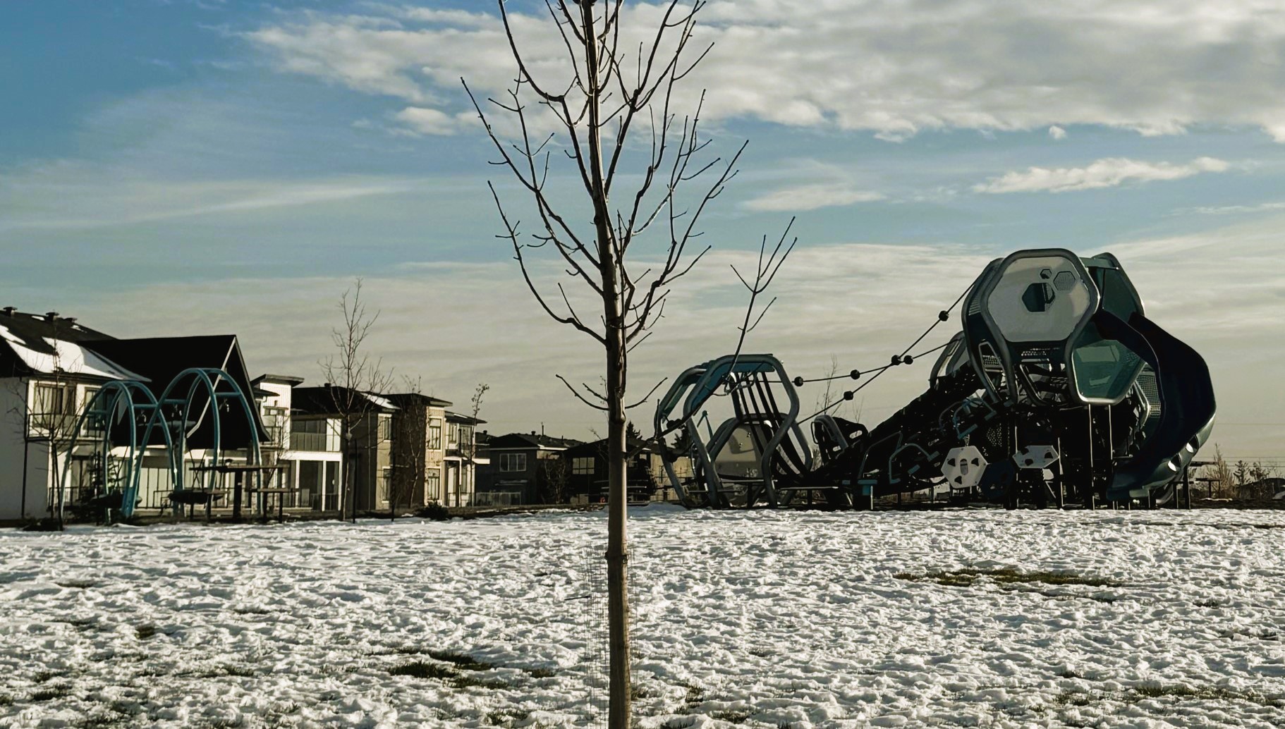 Saddle Ridge Park Naming | Engage