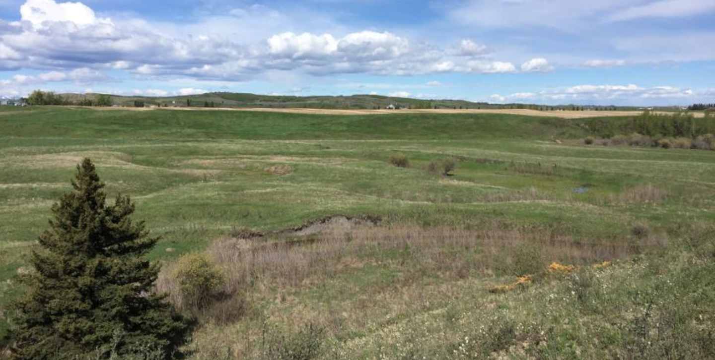 Saatoohtsi (West Macleod Residual Lands) Area Structure Plan | Engage