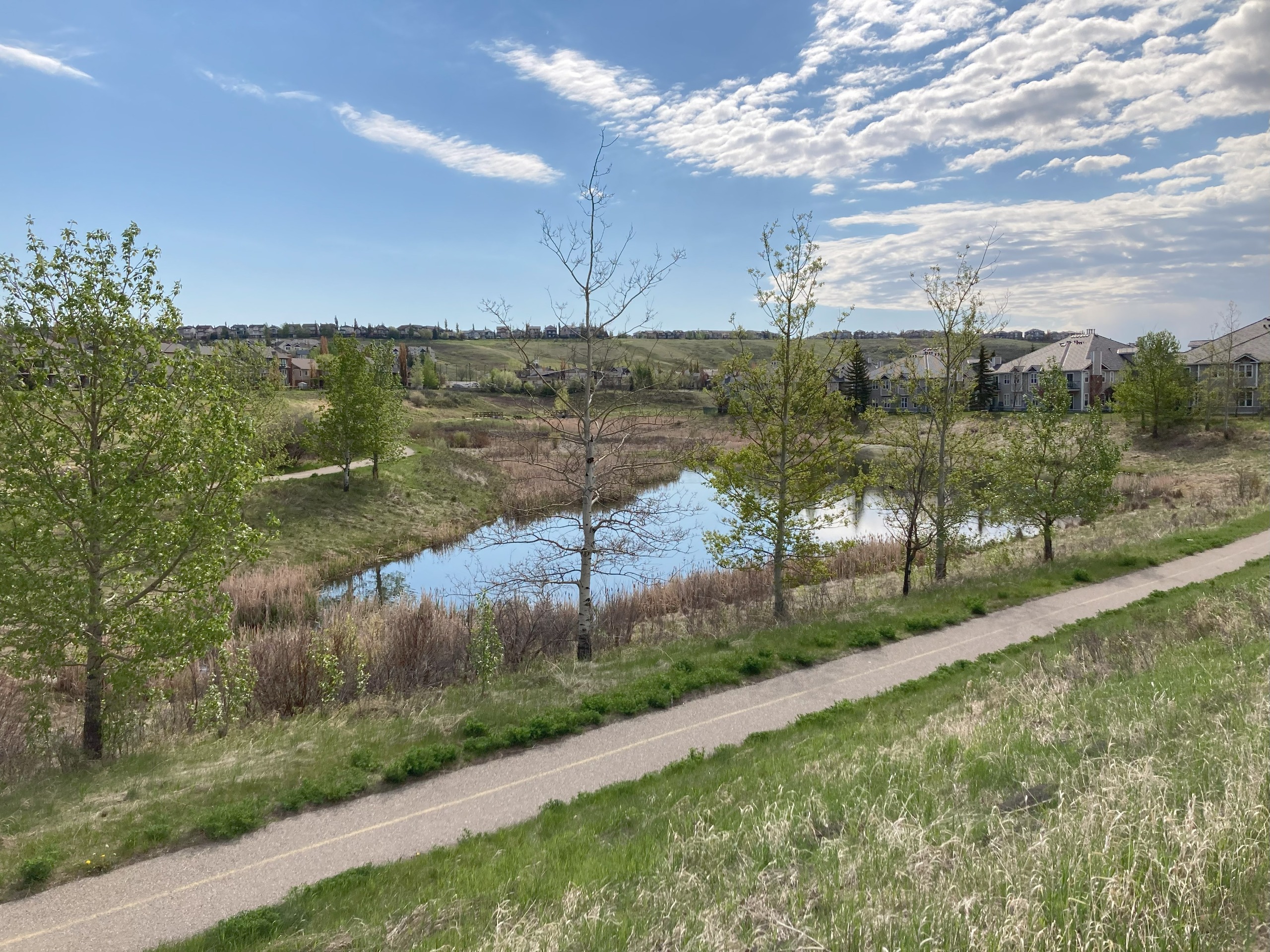 Hanson Ranch Wetland Improvements | Engage
