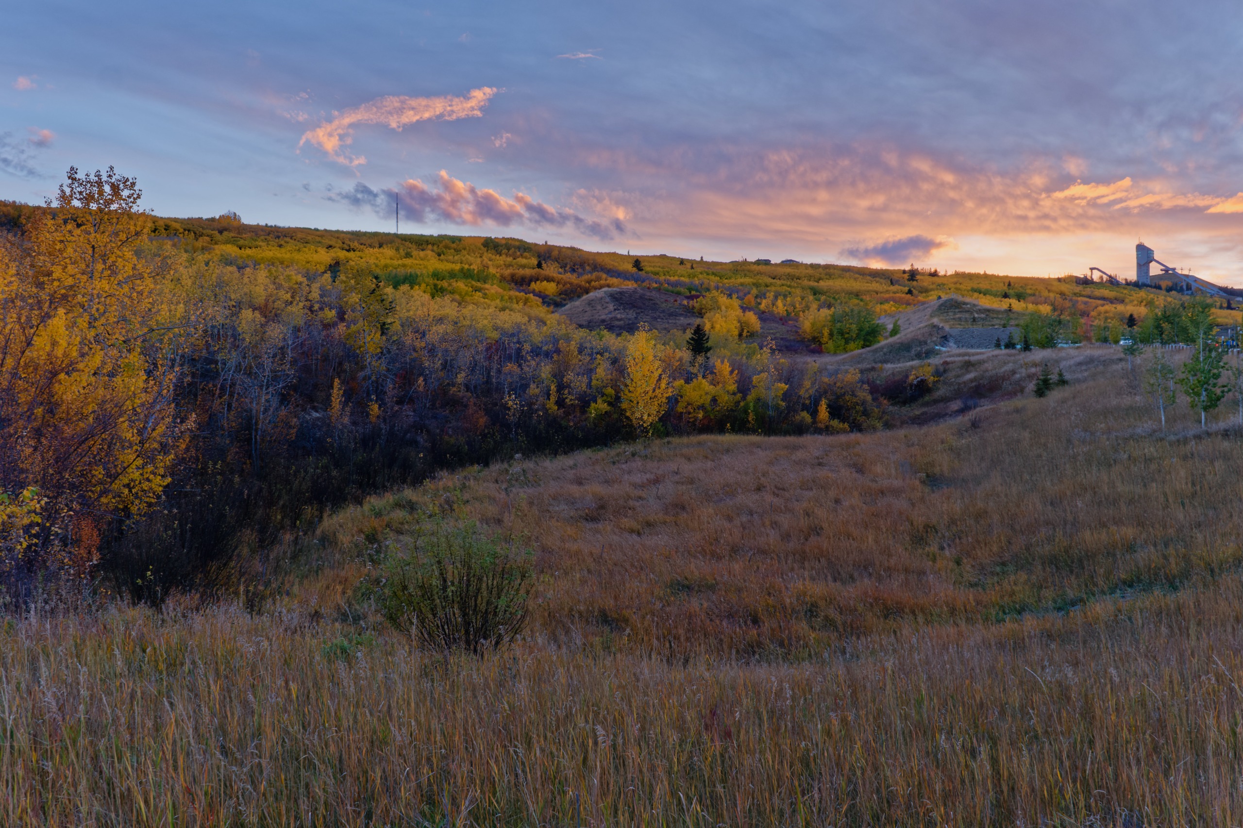 Medicine Hill/Paskapoo Slopes Park Plan | Engage
