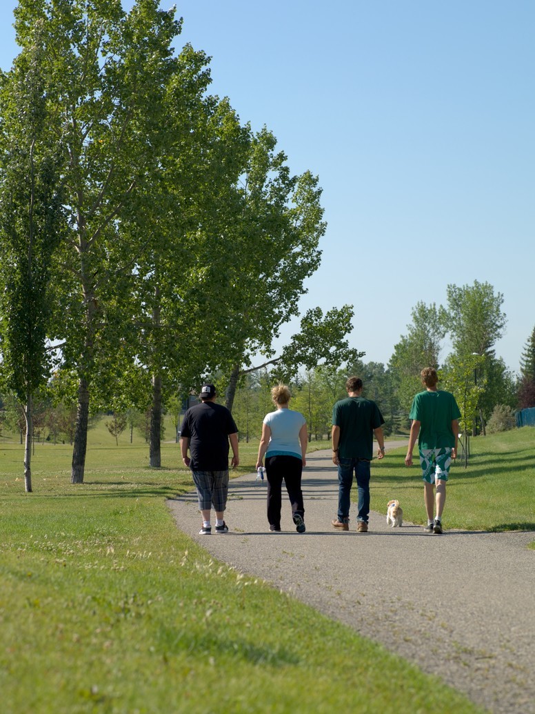 Park Pop-Ups (and more!) | Big Marlborough Park Master Plan | Engage